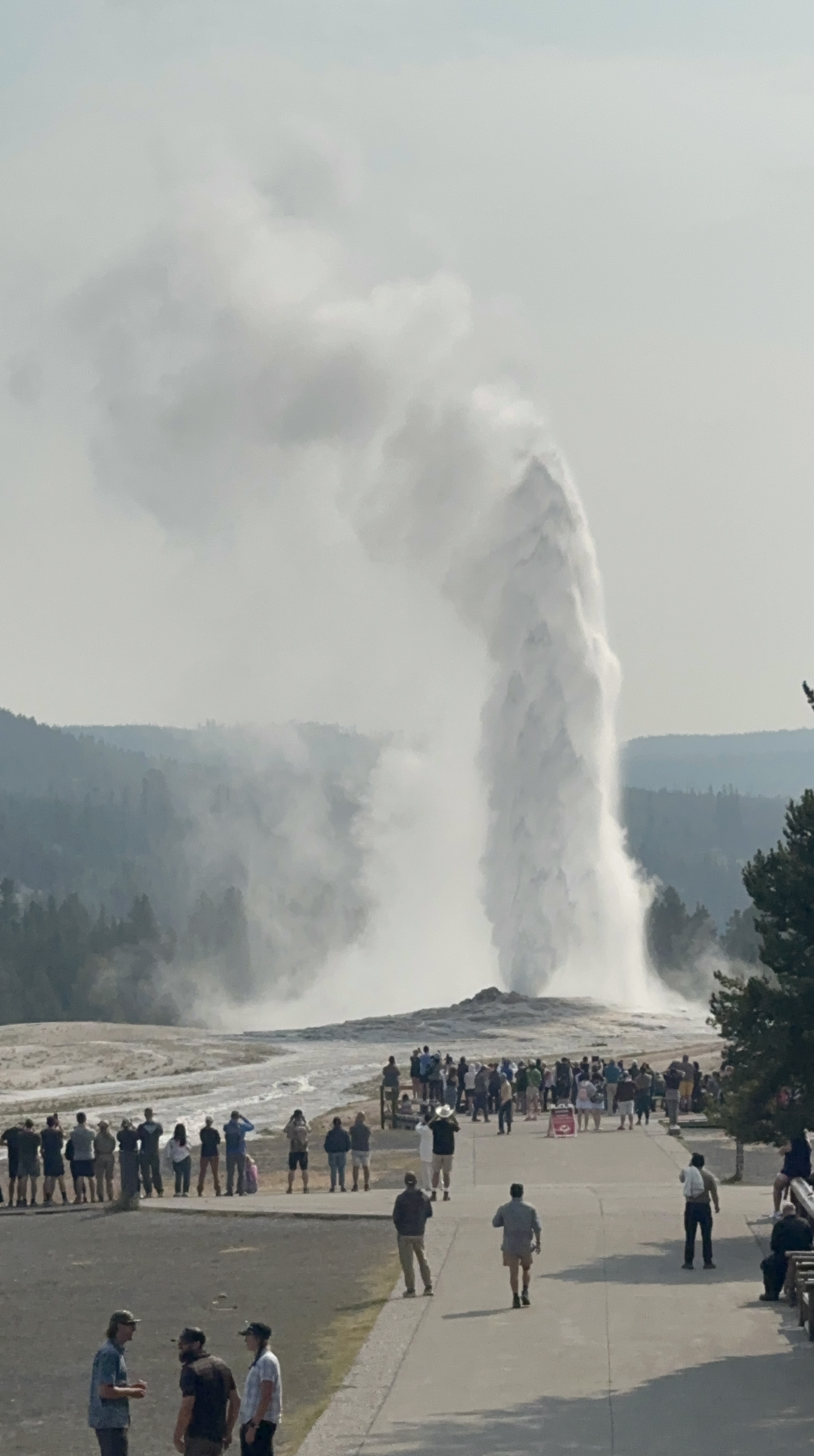 The Ultimate Yellowstone Road Trip: Jackson, WY to Bozeman, MT – The ...