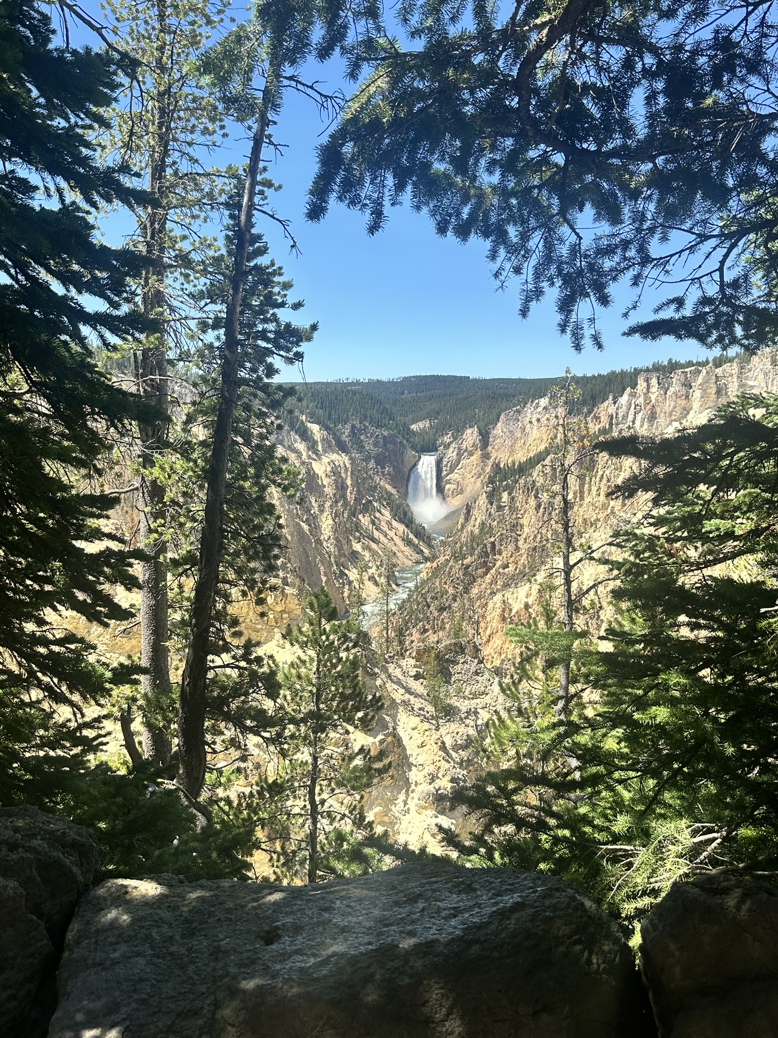 The Ultimate Yellowstone Road Trip: Jackson, WY to Bozeman, MT – The ...